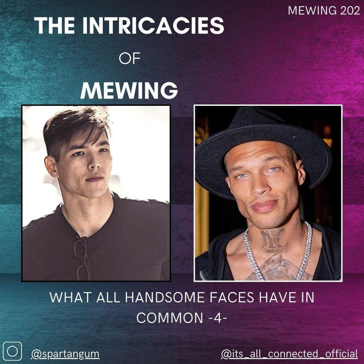 How Mewing Works - The Maxilla Sutures – Spartan Health™